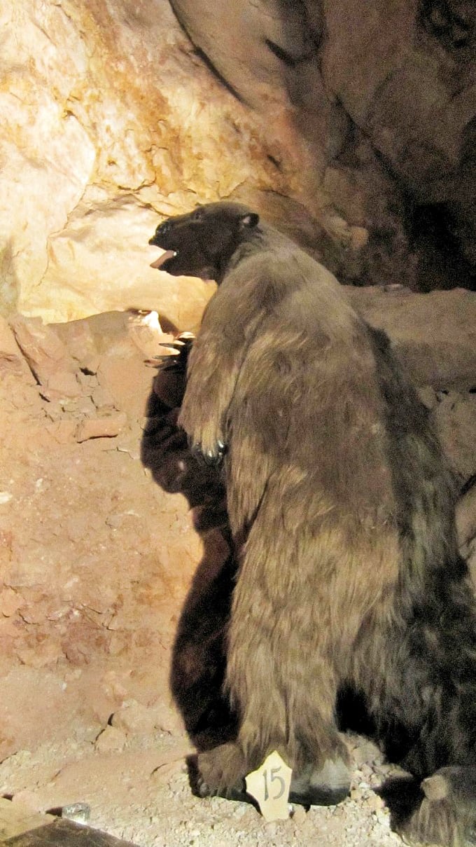Meet your prehistoric dining companion&mdash;this giant sloth skeleton was discovered right here in the caverns in 1951.