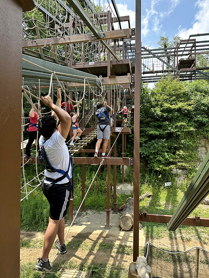 The ropes course creates a vertical playground where visitors navigate obstacles while contemplating their relationship with gravity and upper body strength.