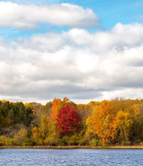 1434 acre park michigan ftr