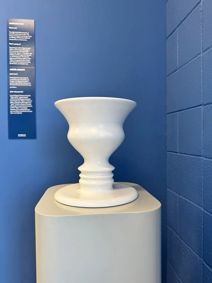 Face or vase? The classic Ambiguous Vase illusion demonstrates how our brains constantly flip between interpretations when presented with visual ambiguity.