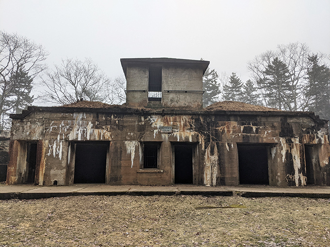 Battery Cogan's grass-topped bunker blends surprisingly well into the landscape, its camouflage now more complete than military engineers ever intended.