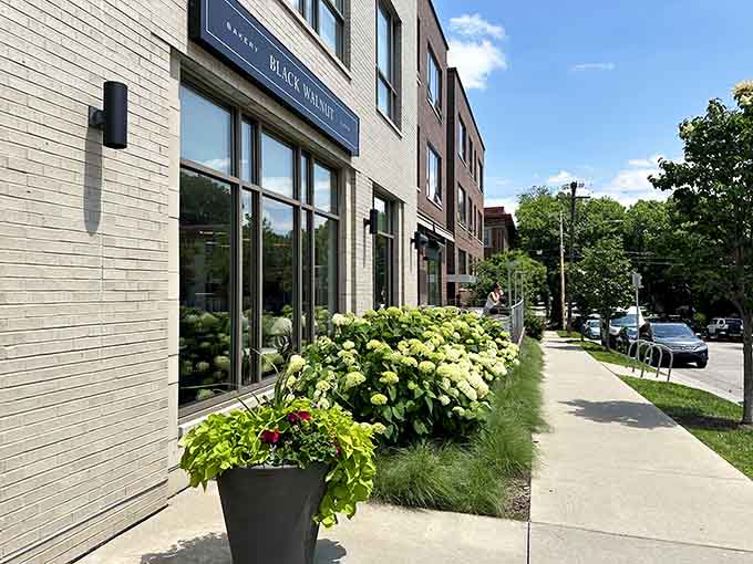 The welcoming exterior sits perfectly in its Uptown neighborhood, surrounded by greenery and ready to make your day better.