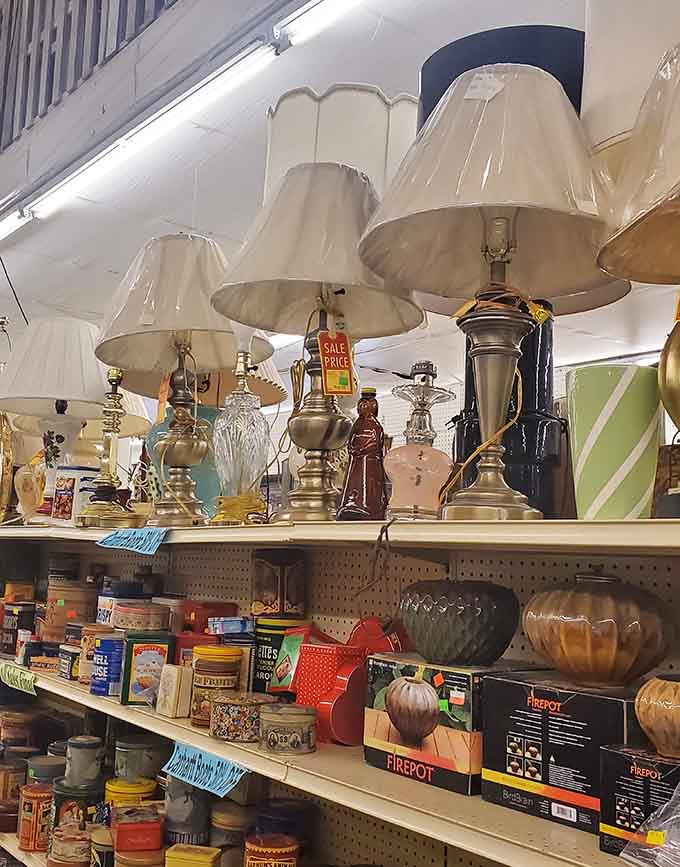 These lamps have illuminated everything from late-night studying to romantic dinners, and their timeless designs mean they'll keep shining for decades more.