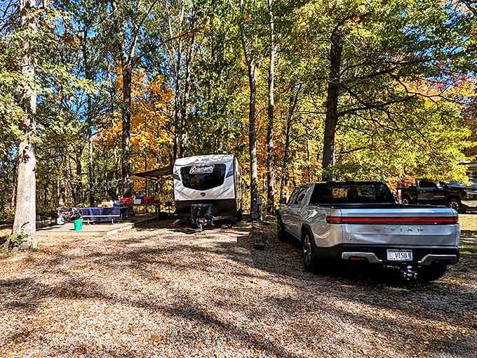 RV camping that proves you can rough it in style, surrounded by trees that have been hosting happy campers longer than any of us have been alive.