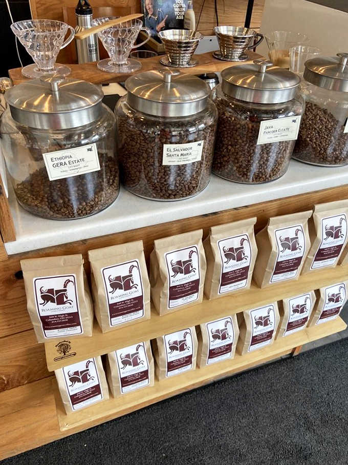 Coffee beans displayed like the treasures they are &ndash; each variety promising a unique journey from far-flung coffee regions to your Columbus morning.