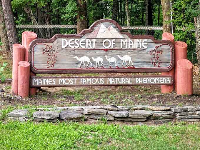 Maine's Most Famous Natural Phenomena gets the signage it deserves, announcing the desert with the kind of pride usually reserved for lobster and lighthouses.