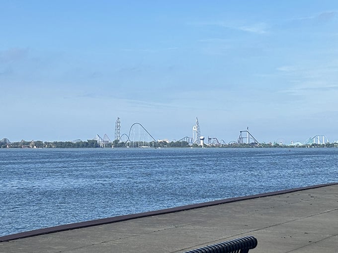 Cedar Point's roller coasters visible across the bay, because apparently this place wasn't already exciting enough with just the tacos.