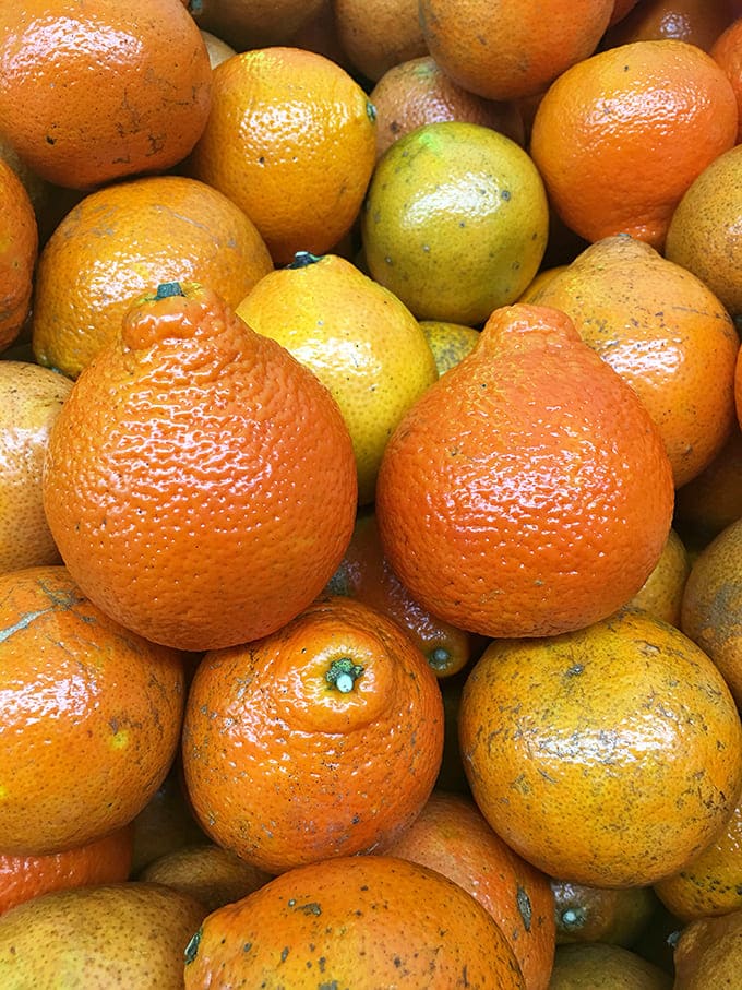 A close-up reveals the true stars of the show – tangelos and oranges with their naturally imperfect beauty, worlds away from supermarket uniformity.