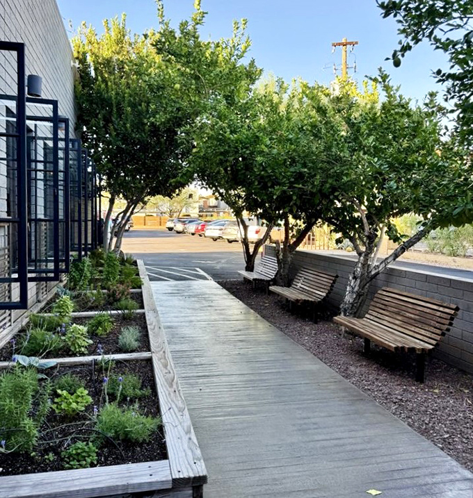 The entrance walkway, shaded by desert-friendly trees, creates a moment of transition from the outside world into The Parlor's culinary sanctuary.