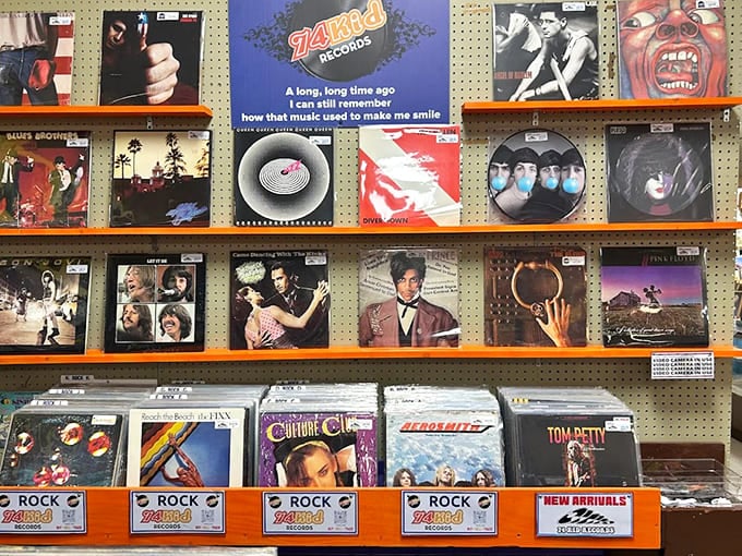 Vinyl records line up like soldiers of sound, each album cover a time capsule of artistic expression and cultural moments.