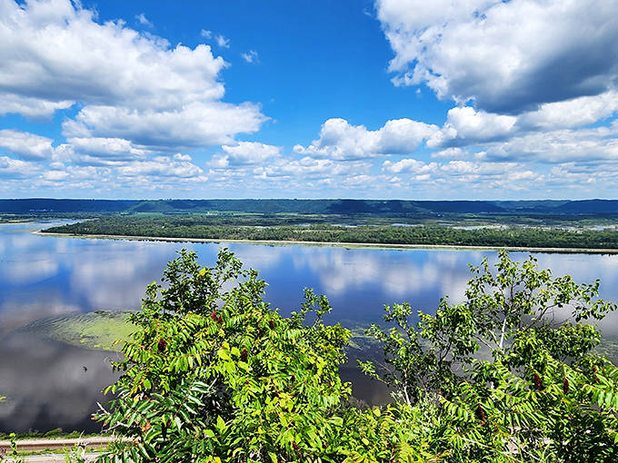 The mighty Mississippi, looking particularly photogenic today. That blue ribbon of water has been carving this landscape since before humans arrived to admire it.