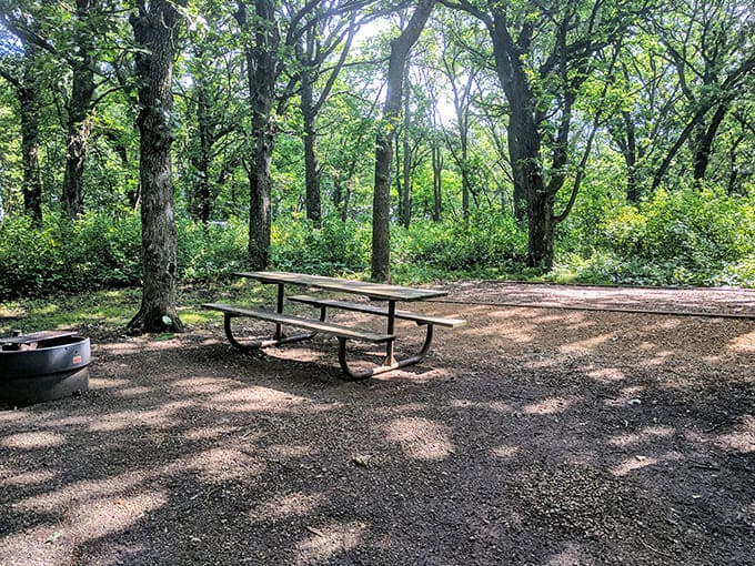 Picnic areas nestled among the trees provide the perfect setup for outdoor meals that somehow taste better than the same food would indoors.