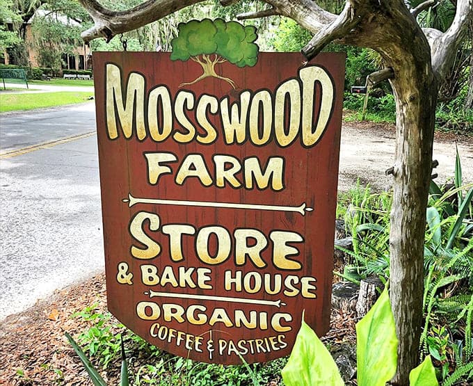 The wooden sign stands as a beacon for carb-lovers everywhere, promising organic delights beneath moss-draped oaks in this slice of old Florida.