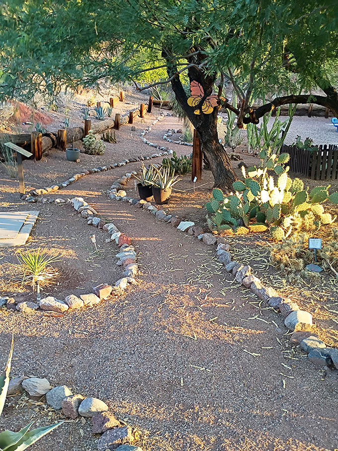 Desert botanical gardens showcase native plants that have mastered the art of thriving in seemingly impossible conditions.