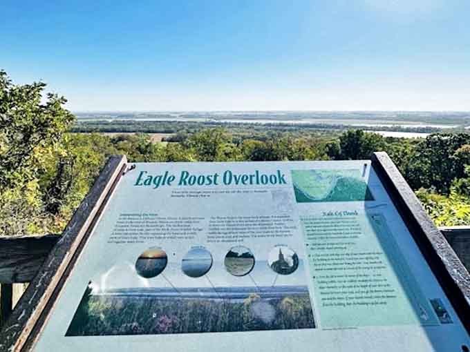 Eagle Roost Overlook: where the Mississippi Valley unfolds before you like a living map of America's heartland.