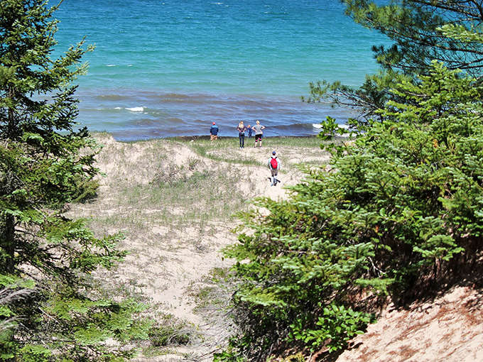 Where forest meets shore &ndash; Petoskey State Park offers the perfect blend of woodland trails and sandy beaches for nature lovers.