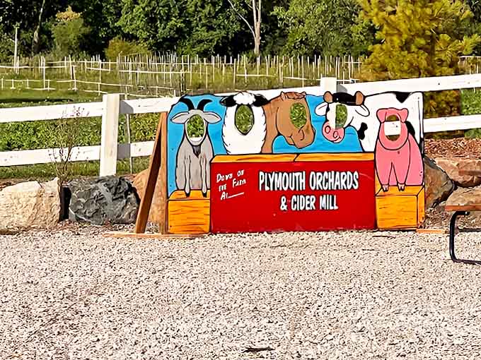 Whimsical farm animal cutouts welcome visitors to Plymouth Orchards &ndash; setting the tone for a day of simple pleasures and agricultural appreciation.
