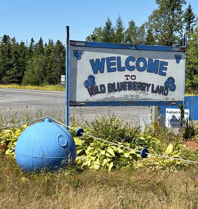 The welcoming sign leaves no doubt about what awaits: a full immersion into all things wild blueberry, Maine style.