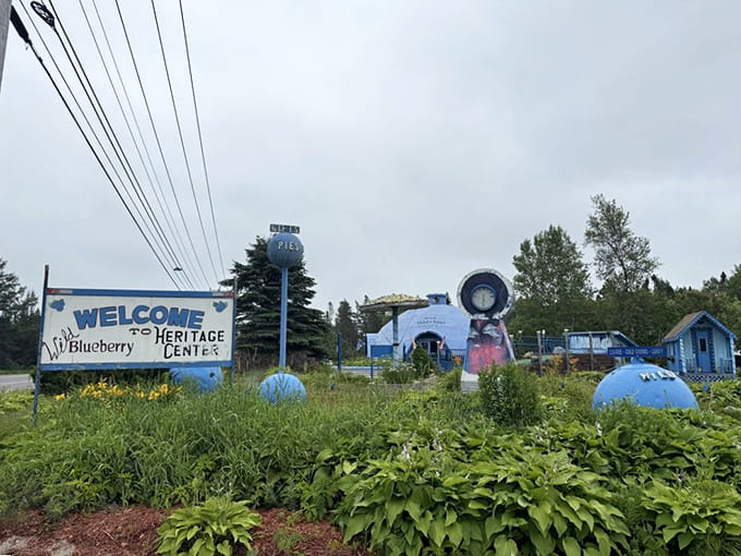 Welcome signs and blueberry sculptures announce you've arrived at the promised land, where wild berries reign supreme and muffins are basically royalty.