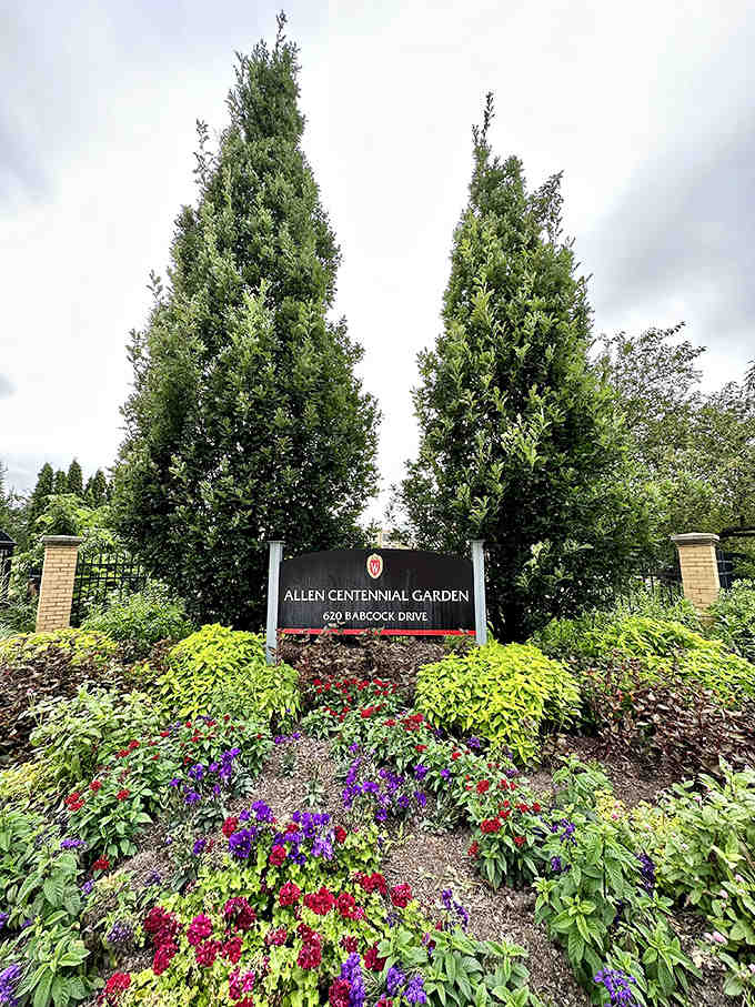 The roadside sign stands like a beacon of hope for the hungry, promising three essential food groups: tacos, burgers, and burritos.