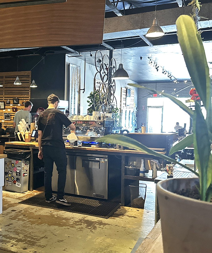 Behind the counter, skilled baristas transform ordinary beans into extraordinary experiences with practiced precision and genuine passion.