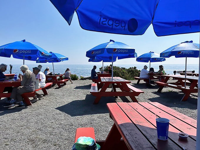 Blue umbrellas and ocean breezes create the perfect dining atmosphere, where seagulls provide entertainment and salt air seasons everything perfectly.