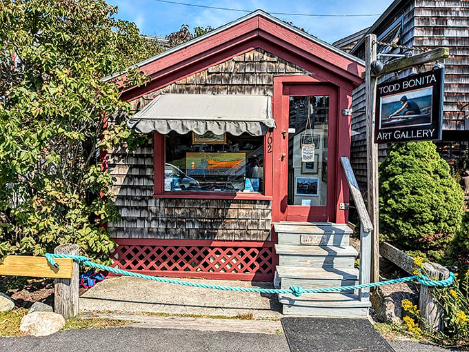 Tiny in size but mighty in artistic spirit, this cedar-shingled gallery showcases coastal inspirations in every brushstroke.