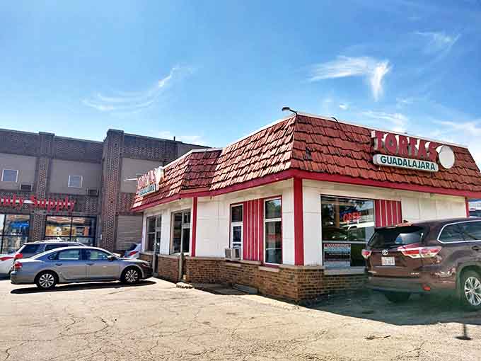 Spring blossoms frame the iconic Diner Grill sign, a beloved landmark that's been feeding hungry Chicagoans for generations.
