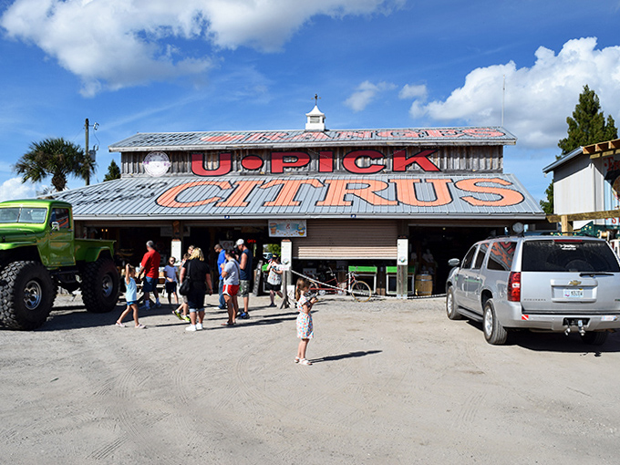 The U-Pick Citrus barn invites families to harvest memories along with oranges &ndash; Florida agriculture at its most accessible.
