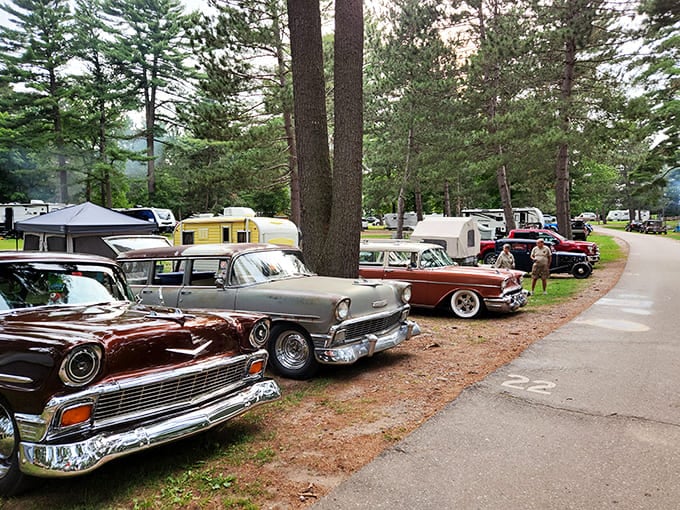 Sunlight streams through towering pines, creating nature's own spotlight on a trail that beckons explorers of all ages.