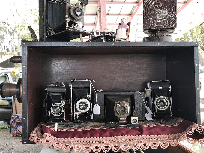 15. vintage cameras