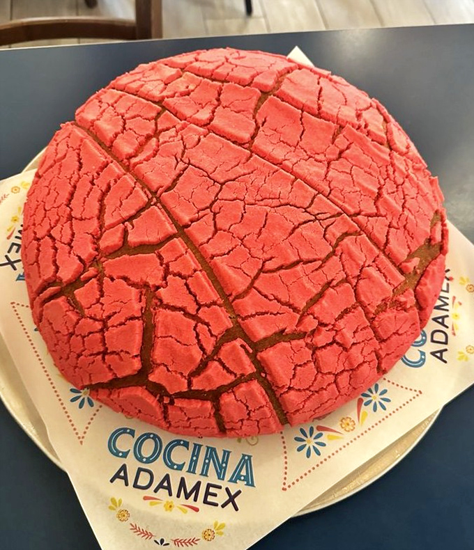 This isn't just a concha – it's an edible work of art, with its crackled red top hiding a soft, sweet interior that's worth every single calorie.