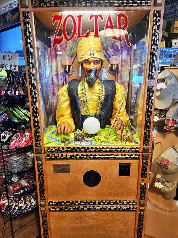 Meet Zoltar, the mechanical fortune teller who predicts your future will include more candy and possibly a sugar-induced nap on the beach.