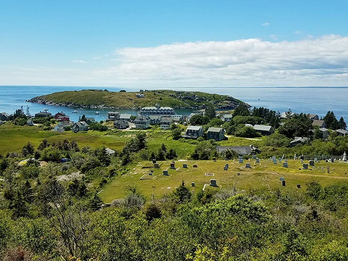 Monhegan's dramatic landscape unfolds in this breathtaking vista, where forest meets granite shore and centuries-old paths connect it all.