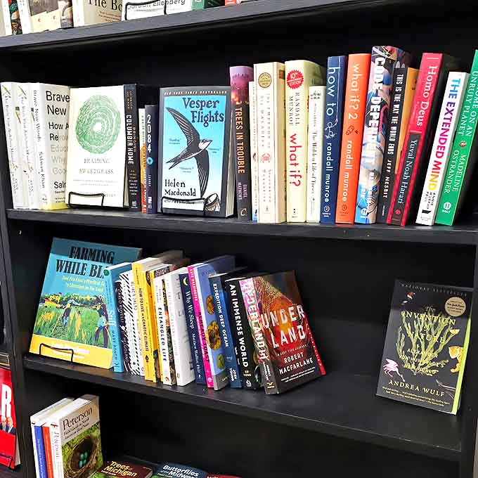 Thoughtfully organized non-fiction shelves reveal the diverse interests of Detroit readers, from nature writing to social commentary, all waiting to expand curious minds.