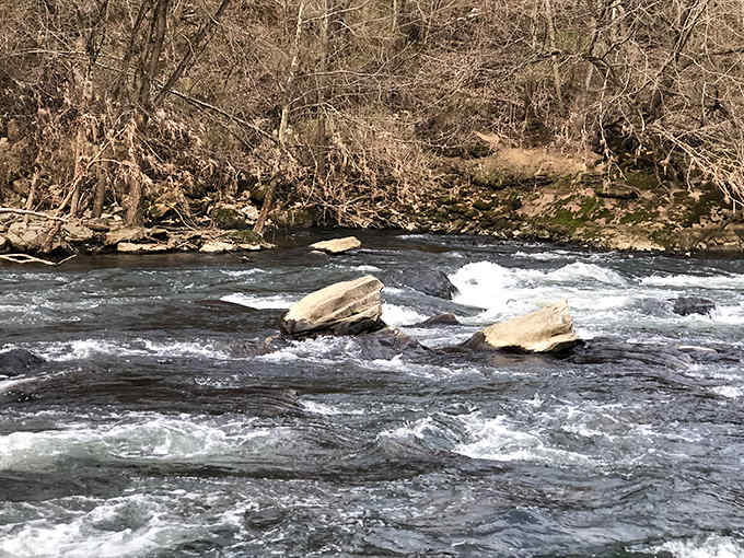 The rushing current navigates around ancient boulders, a reminder of nature's persistent power to carve beauty from obstacles over countless years.