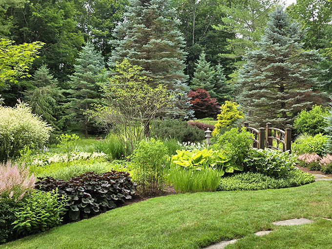 Layers of green create depth and texture, proving that sometimes the best art is the kind that grows.