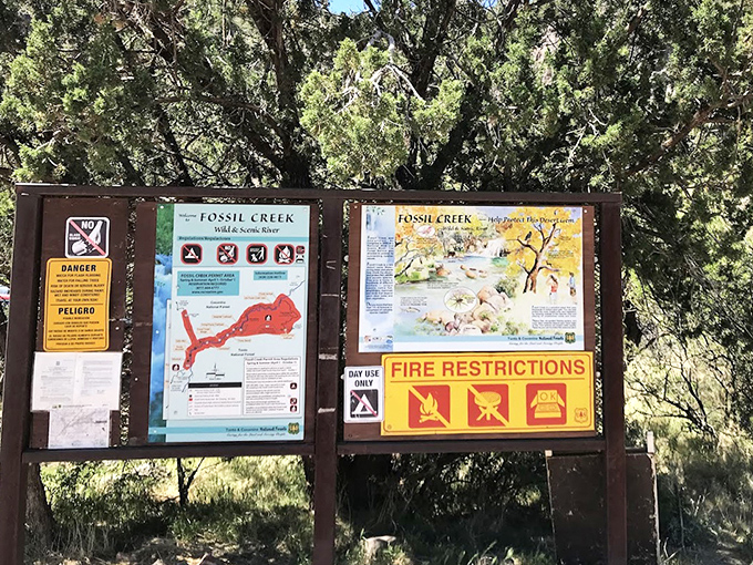 Information board for visitors: The unsung hero of wilderness adventures &ndash; crucial knowledge displayed for those wise enough to pause and read before proceeding.