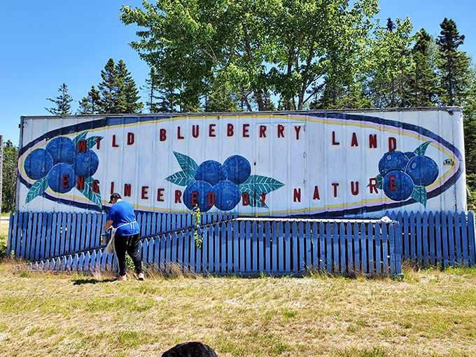The colorful mural celebrates Maine's wild blueberry heritage, reminding visitors that these tiny fruits have been a treasured part of local culture for generations.