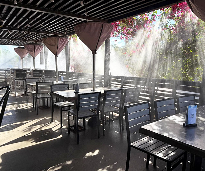 The patio's dappled sunlight creates the perfect ambiance &ndash; nature's own Instagram filter for your dining experience.