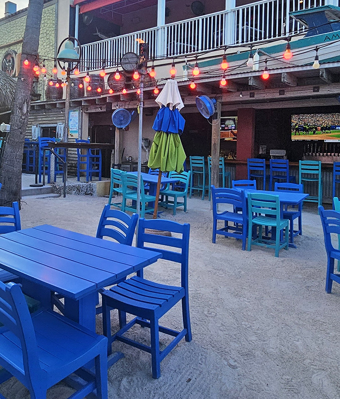 Outdoor seating in that perfect shade of "we're definitely in Florida" blue – where every table feels like front-row seats to paradise.