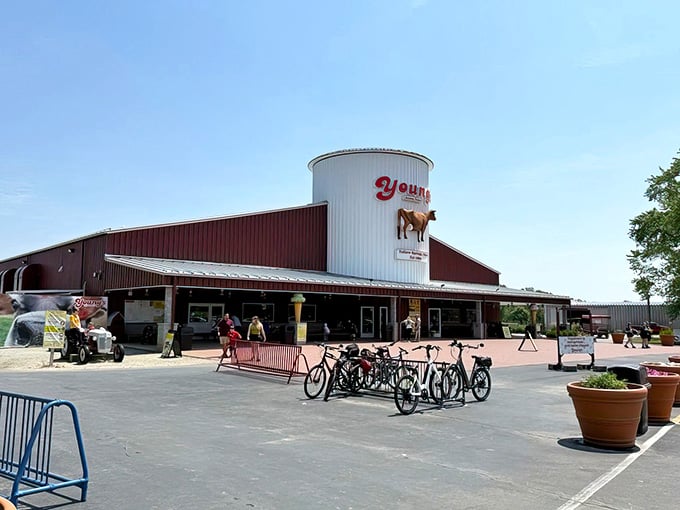 The exterior welcomes visitors with that unmistakable farm charm that promises authentic experiences and exceptional dairy products inside.