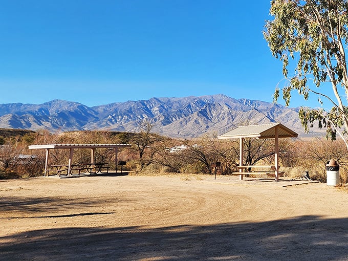 Desert picnic perfection with mountain views on the side&mdash;these shaded tables offer respite from the sun while keeping nature's grandeur on full display.