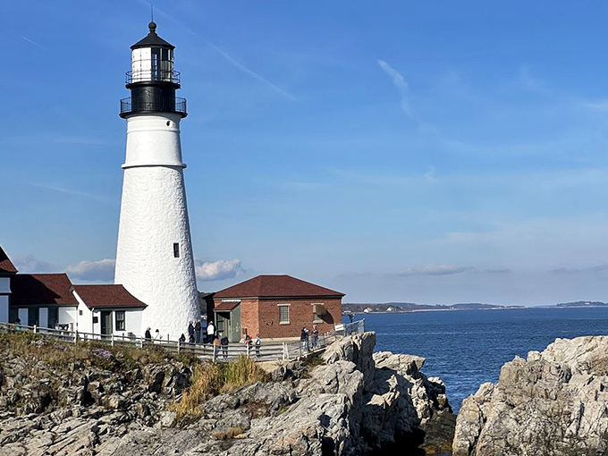 Wild roses and coastal vegetation frame the lighthouse in summer, nature's colorful complement to this man-made marvel.