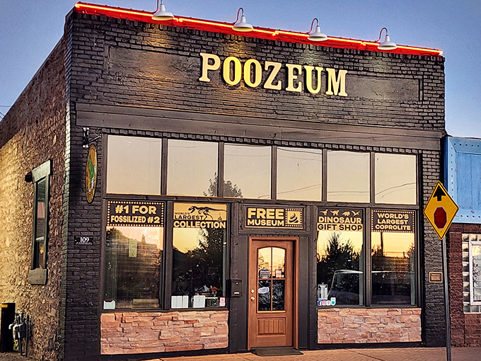 As evening falls, the illuminated Poozeum sign beckons curious travelers to discover that sometimes science's most valuable insights come from the most unexpected sources.
