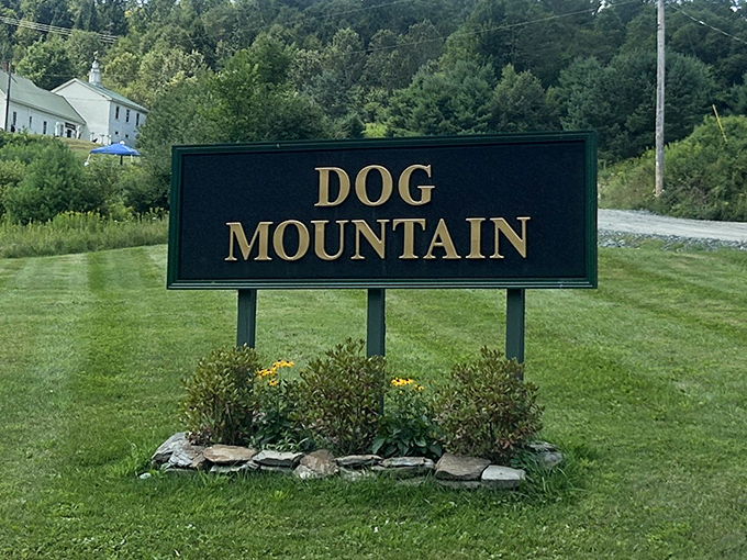 Simple yet profound: the entrance sign to a place that has become a pilgrimage site for anyone who has ever loved and lost a four-legged family member.