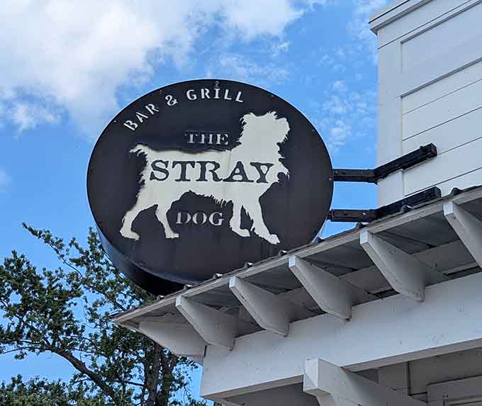 That iconic Stray Dog sign has become a beacon for hungry travelers and locals alike, marking the spot where great food happens daily.