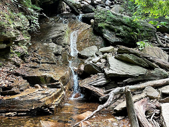 Even the smallest cascades along the trail deserve attention&mdash;nature's appetizers before the main course of Lye Brook Falls.
