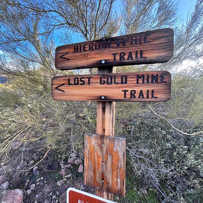 The wooden signpost of temptation&mdash;when one direction promises hieroglyphics and the other teases lost gold, how do you choose?