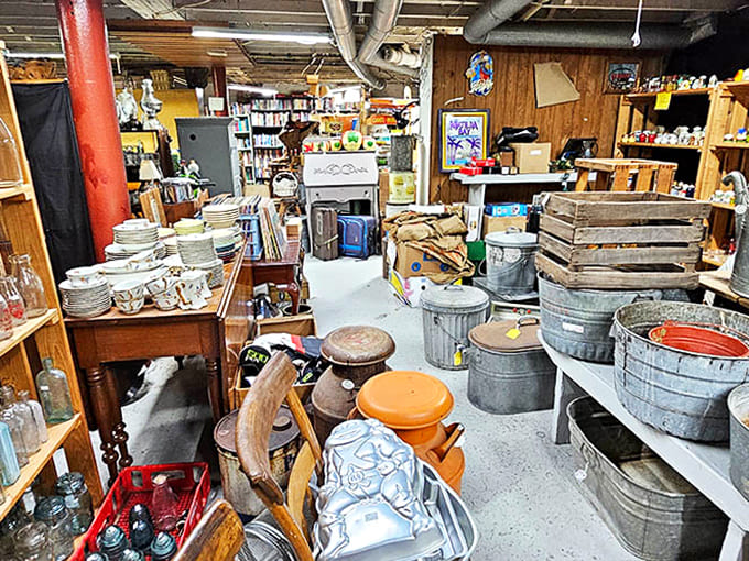 The organized chaos of a collector's dream &ndash; where everyday items from yesterday become the conversation pieces of tomorrow's home.